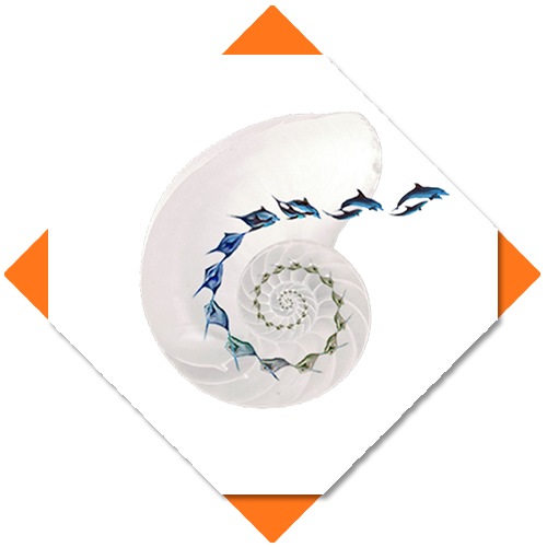 Partenaires – SOIB